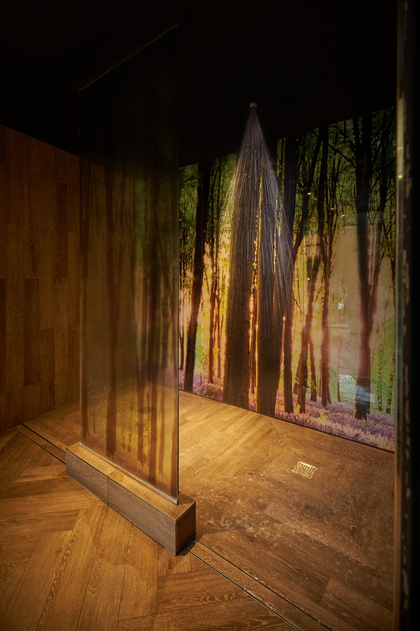 Elveden Forest Spa Experiences | Aqua Sana